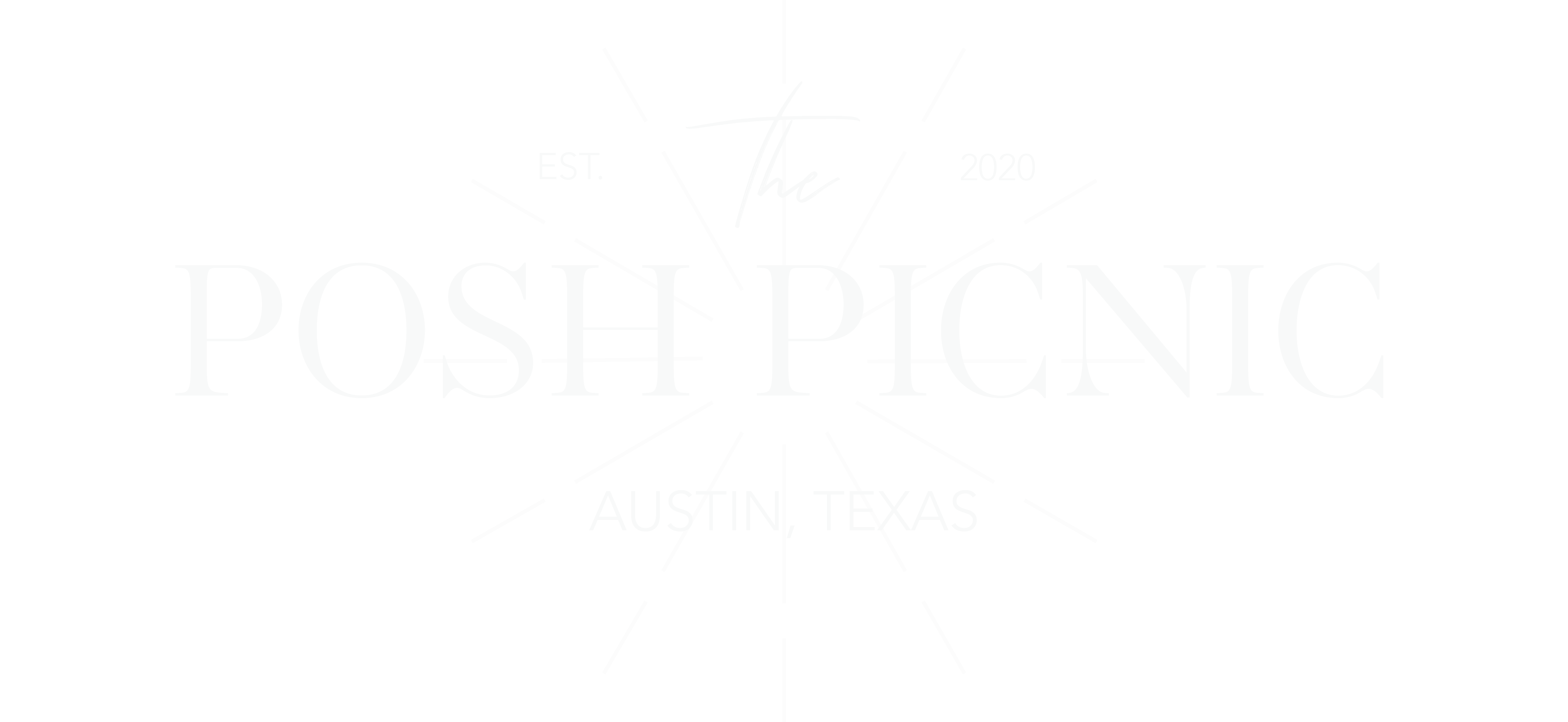 The Posh Picnic – Austin's Luxury Picnic Service